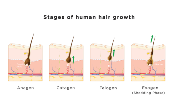 Say Goodbye to Pubic Hair with Laser Hair Removal | Halley Medical ...